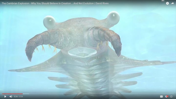 The Cambrian Explosion – Why You Should Believe In Creation …And Not ...