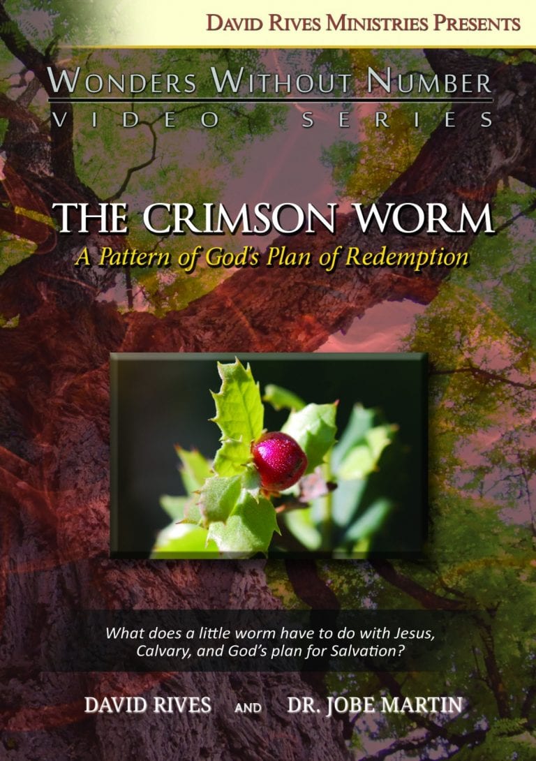 THE CRIMSON WORM – A Pattern of God’s Plan for Redemption DVD – David ...