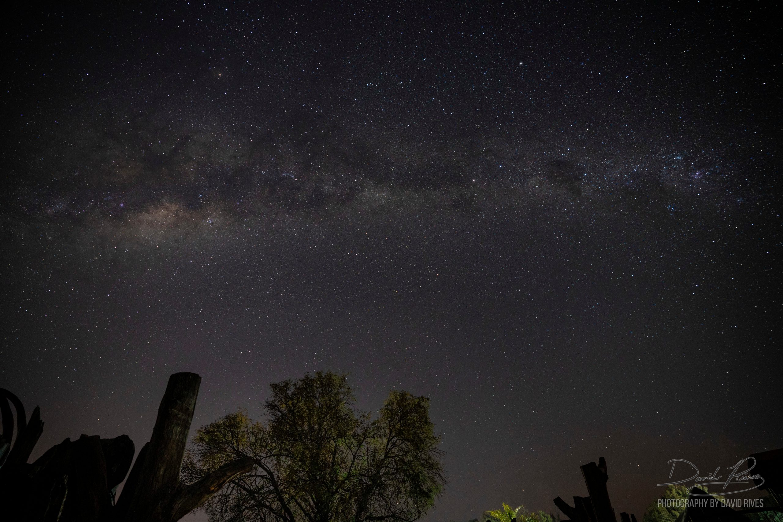 South AFRICA photo safari and creation tour with david rives – african ...