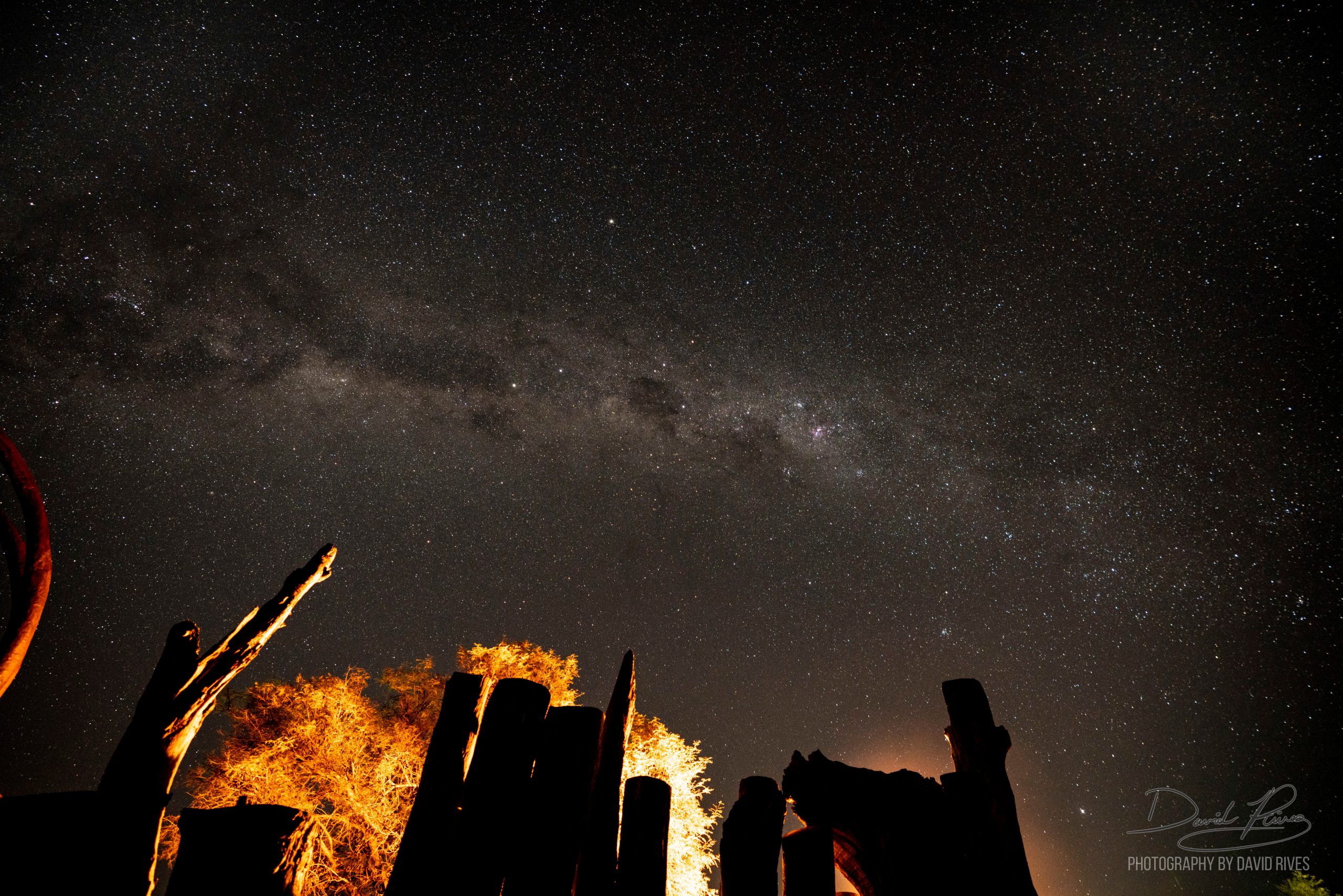 South AFRICA photo safari and creation tour with david rives – african ...