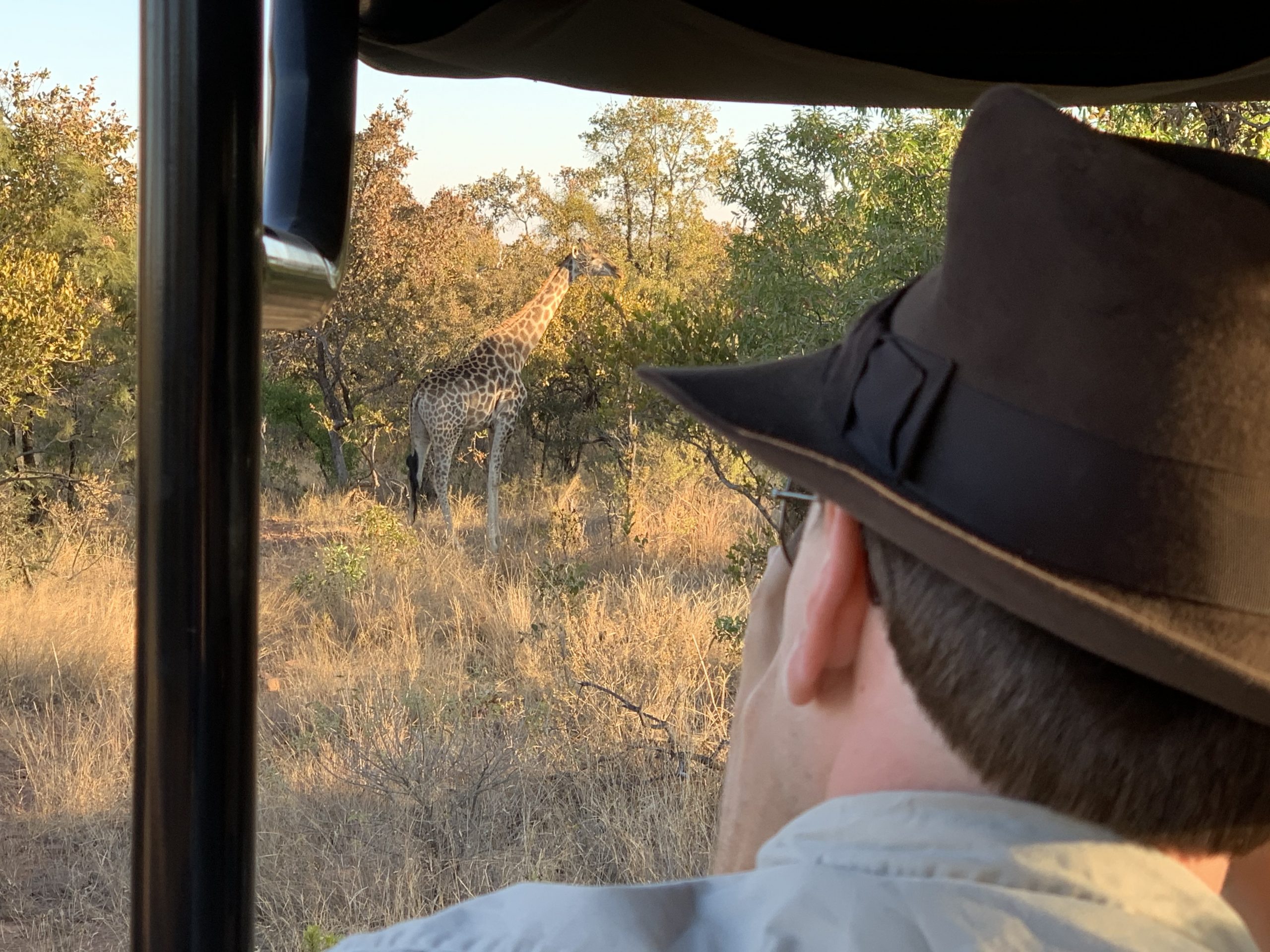 South AFRICA photo safari and creation tour with david rives – african ...