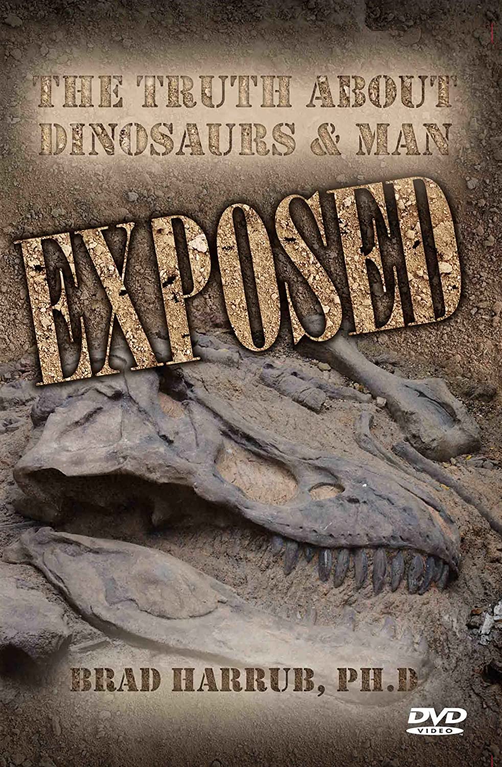 David Rives Answers The Most Asked Questions About Dinosaurs And The ...