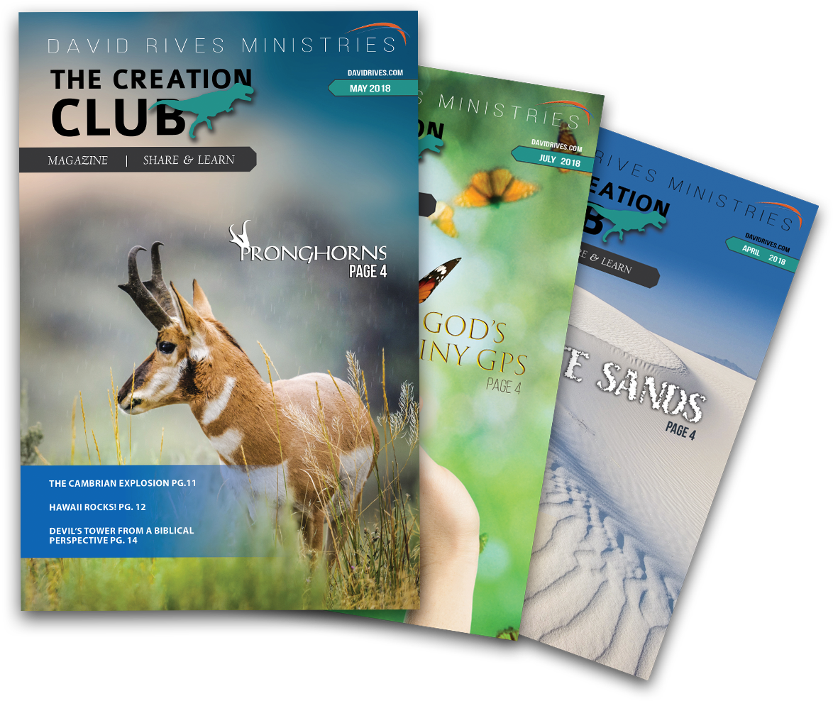 the creation club magazine – David Rives Ministries